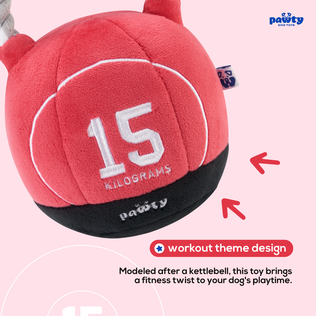 PAWTY Dog Toys - Kettlebell Tug Rope Interactive Toy – The Dog Bar