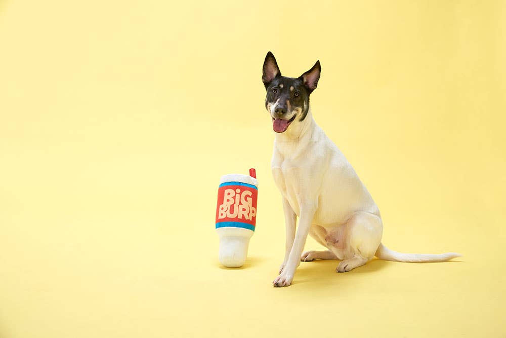 BARK Big Burp Slurp – The Dog Bar
