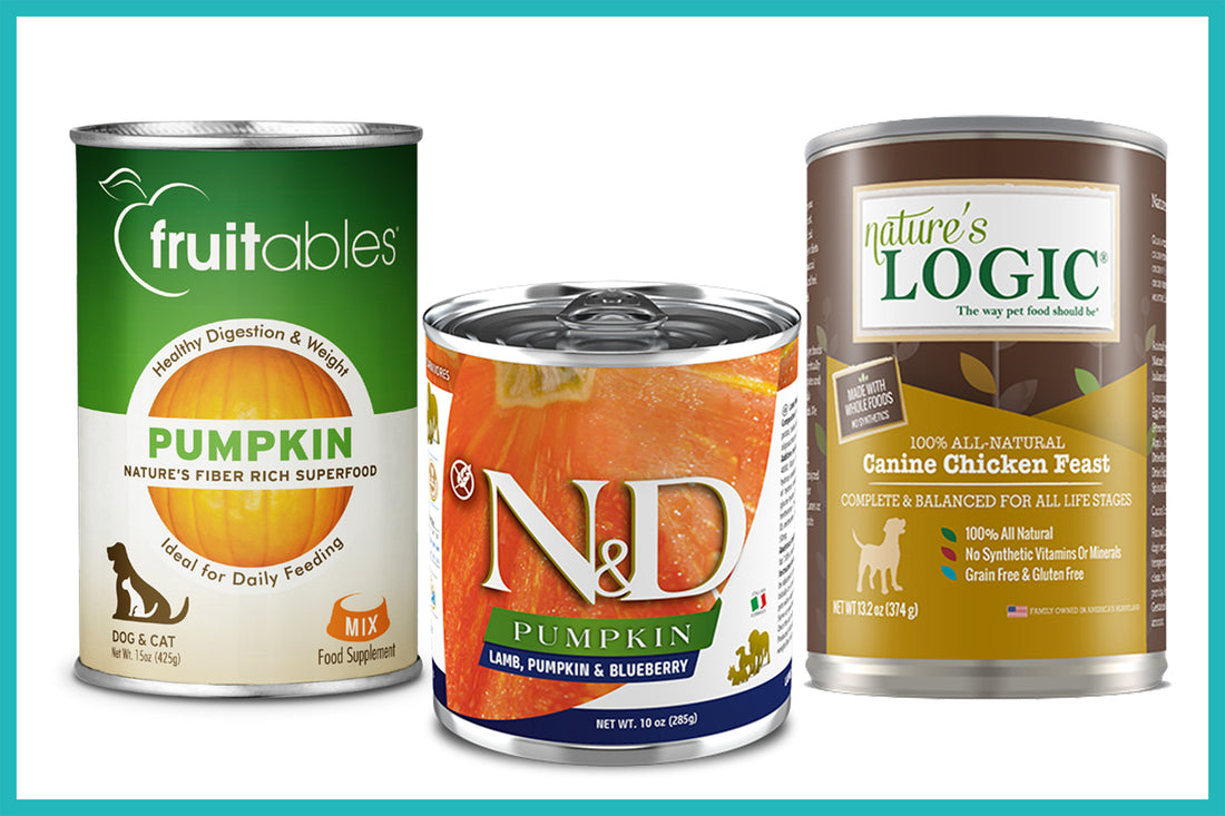 Only The Healthiest Dog Food – The Dog Bar