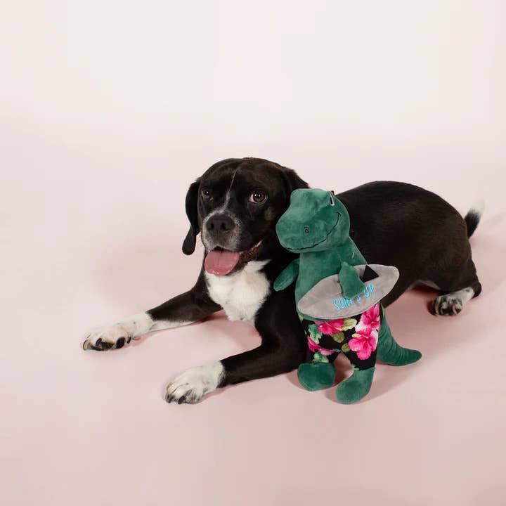 PetShop by Fringe Studio Surfer Bro Rex Plush Dog Toy – The Dog Bar