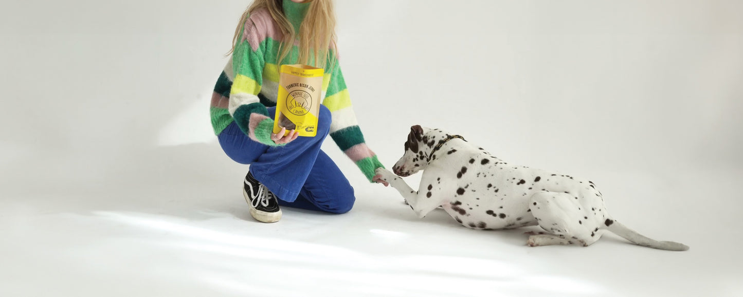 The Dog Bar - Boutique Pet Store in Miami