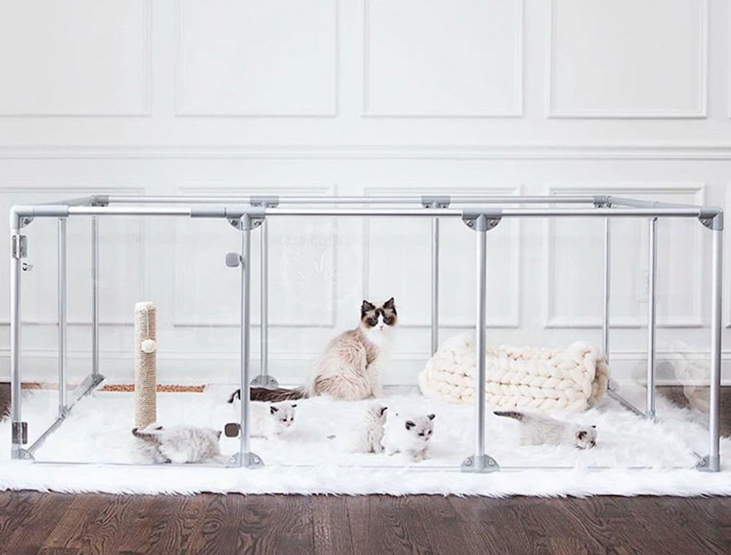 Crystal Clear Pet Pen – The Dog Bar