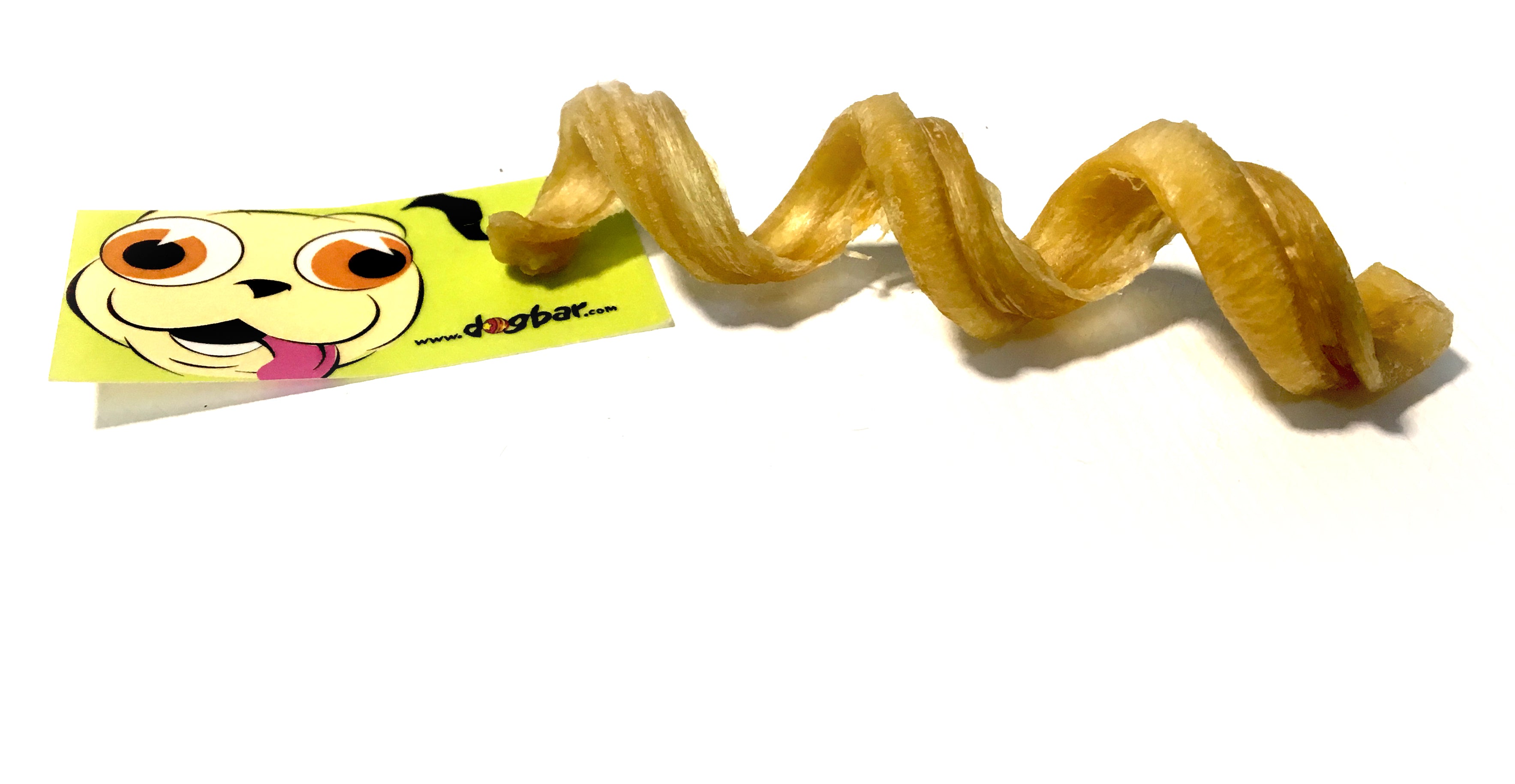 Mini Bully Spring – The Dog Bar