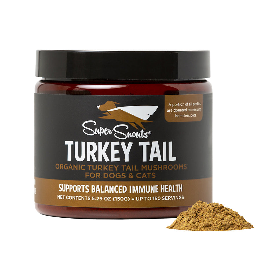 Super Snouts Turkey Tail Supplement – The Dog Bar
